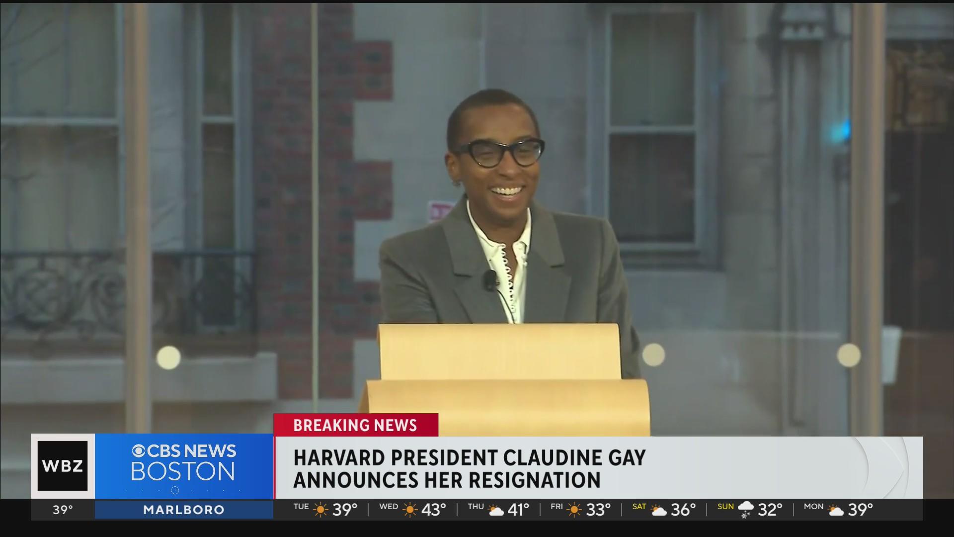 Harvard professor says Claudine Gay was "brought down by a mob" - CBS ...