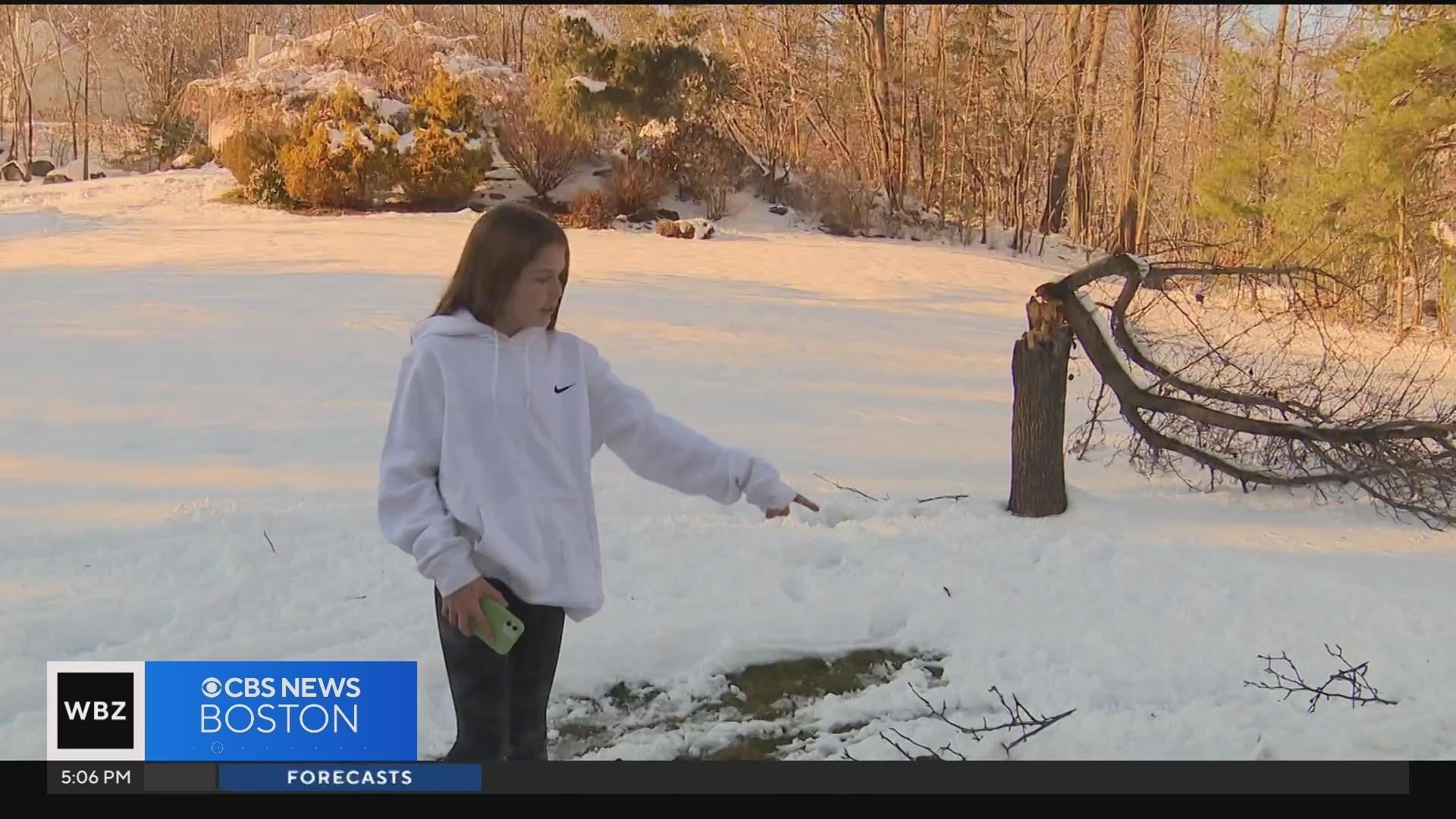 10-year-old girl hurt by falling tree at Hudson school bus stop - CBS ...