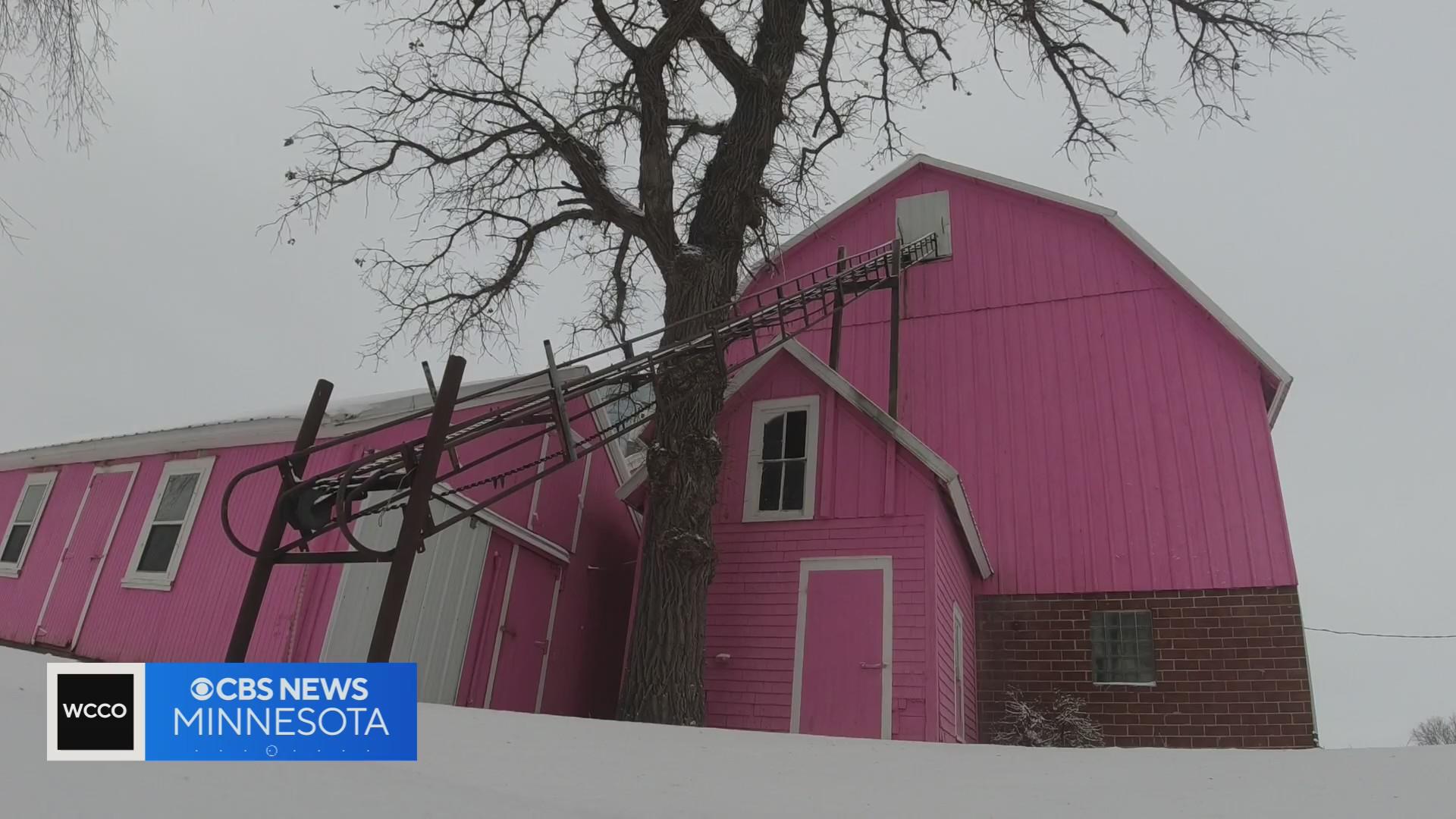 Finding Minnesota: McLeod County's pink farm celebrates 120 years of ...