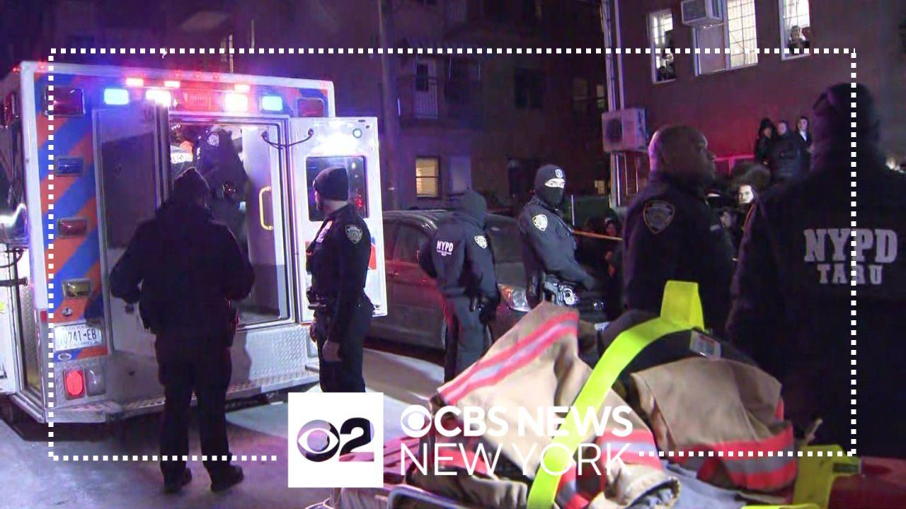 Elderly couple stabbed to death in Borough Park, Brooklyn; suspect in ...