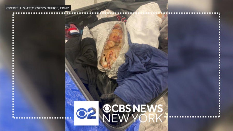 Traveler arrested at JFK Airport for smuggling cocaine inside bags of ...