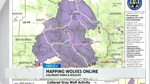 Where are the wolves? Colorado Parks and Wildlife debuts map tracking ...