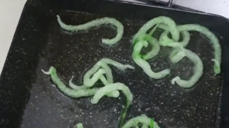 South Korean health officials urge against eating fried toothpicks ...