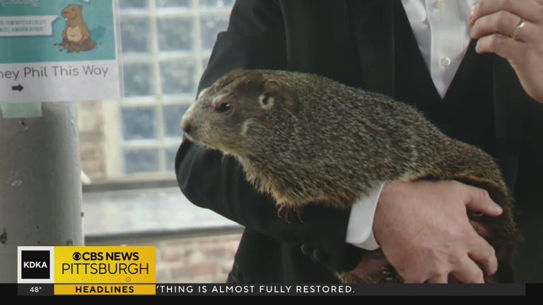 How did Groundhog Day begin? The origins of Punxsutawney Phil - CBS ...