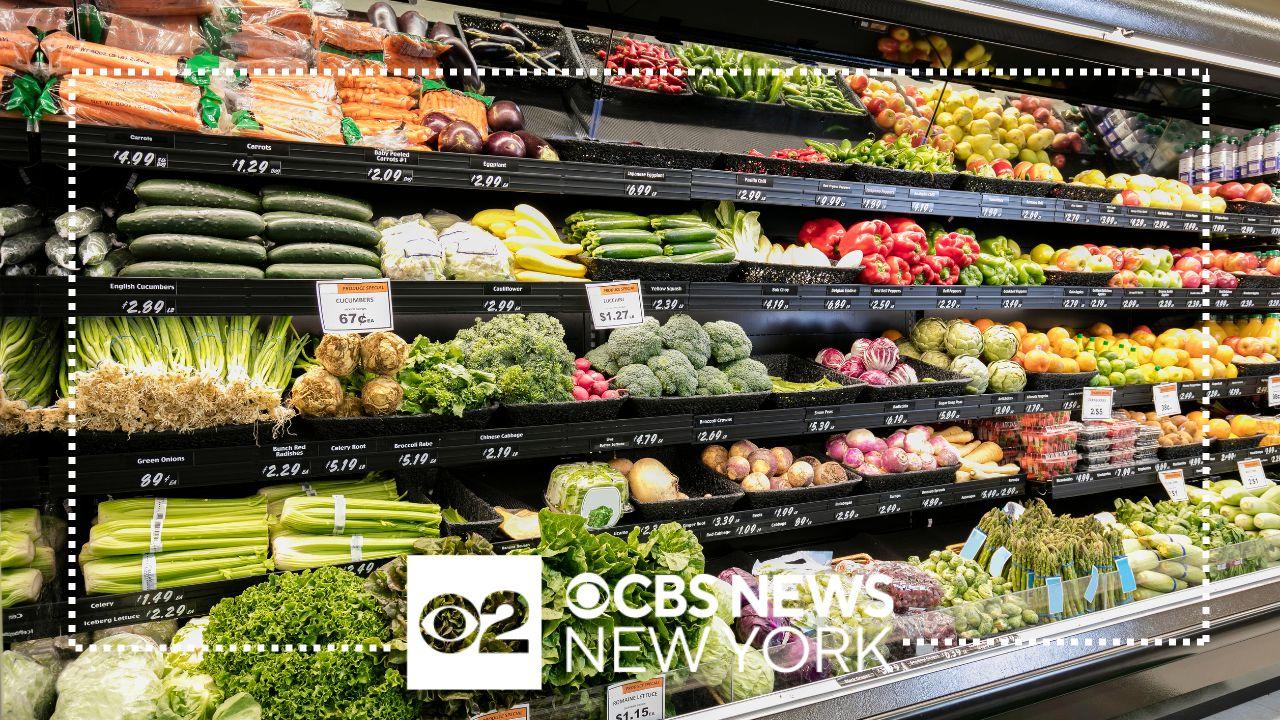 Pilot program will provide migrant families across New York City with ...