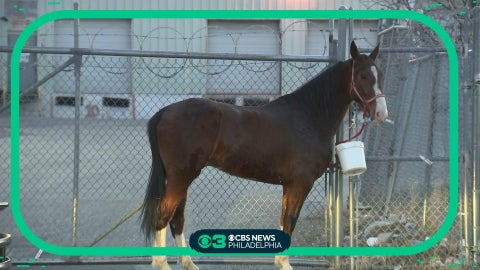 Brothers resentenced to 60 years to life in 1995 slayings of parents ...