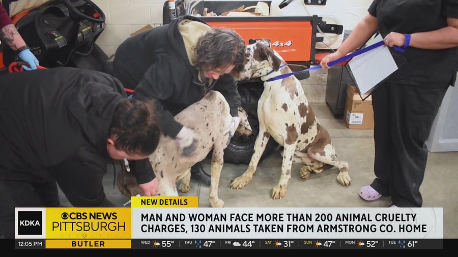 Two people facing more than 200 animal cruelty charges after more than 100 animals found living ...
