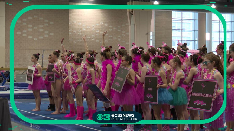Gymnasts battle breast and ovarian cancer at 16th annual Pink ...