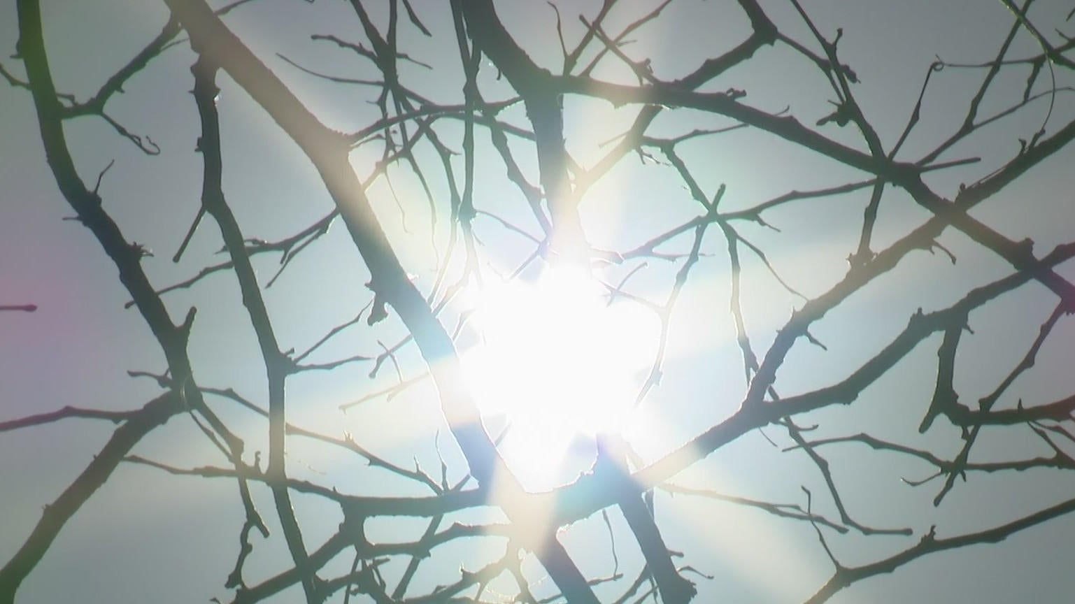 Chicago Environment Department tracks unpredictable weather driven by ...