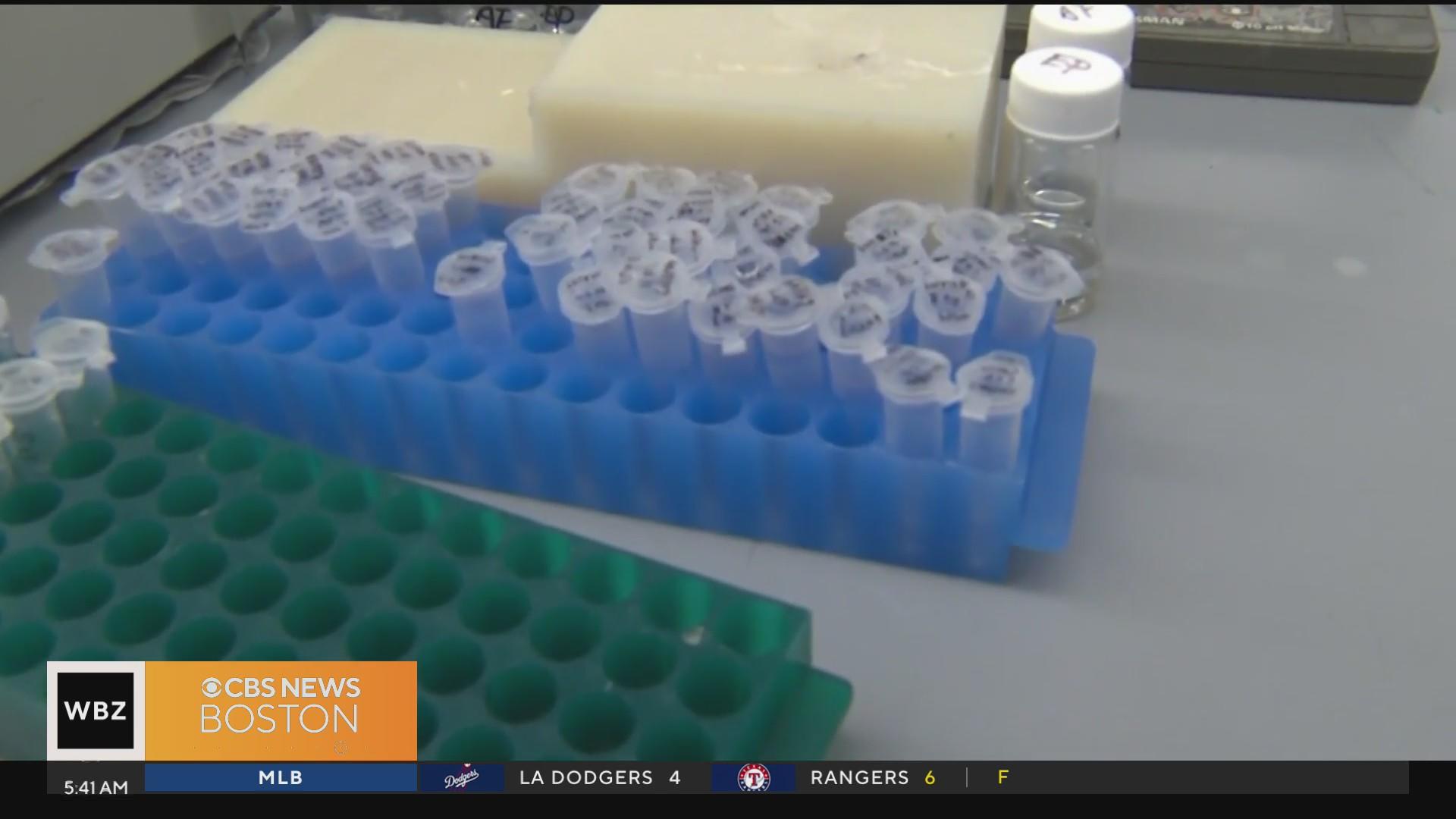 Boston doctor wants more screening for rare genetic conditions in ...
