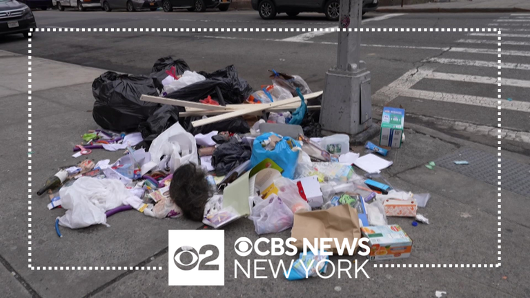 Big rats continue to plague NYC's rat mitigation zones, residents say ...