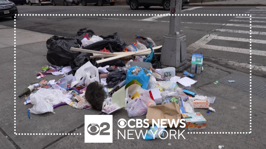 Big rats continue to plague NYC's rat mitigation zones, residents say ...