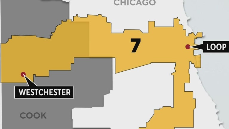 Crowded race for Illinois' 7th Congressional District - CBS Chicago