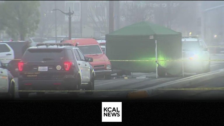 LASD releases bodycam video of armed man fatally shot after backing ...