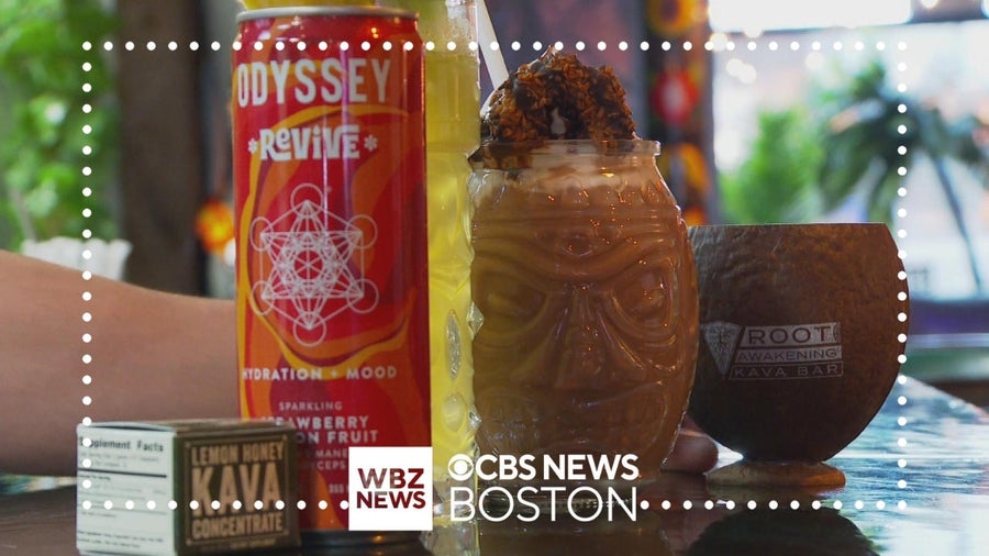 A kava bar is coming to Massachusetts, but how safe is the unregulated ...