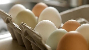 Largest fresh egg producer in U.S. finds bird flu in chickens at Texas and Michigan plants - CBS ...