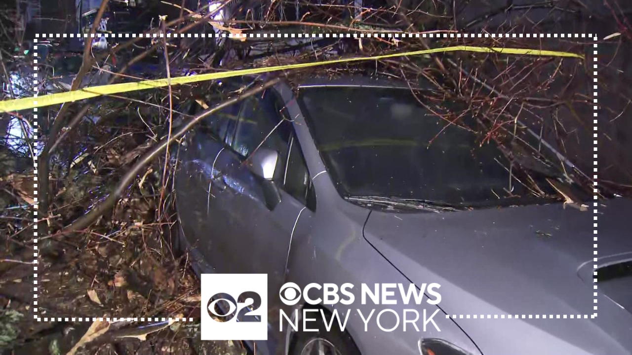Storm takes down trees across New York City, leaving several cars ...