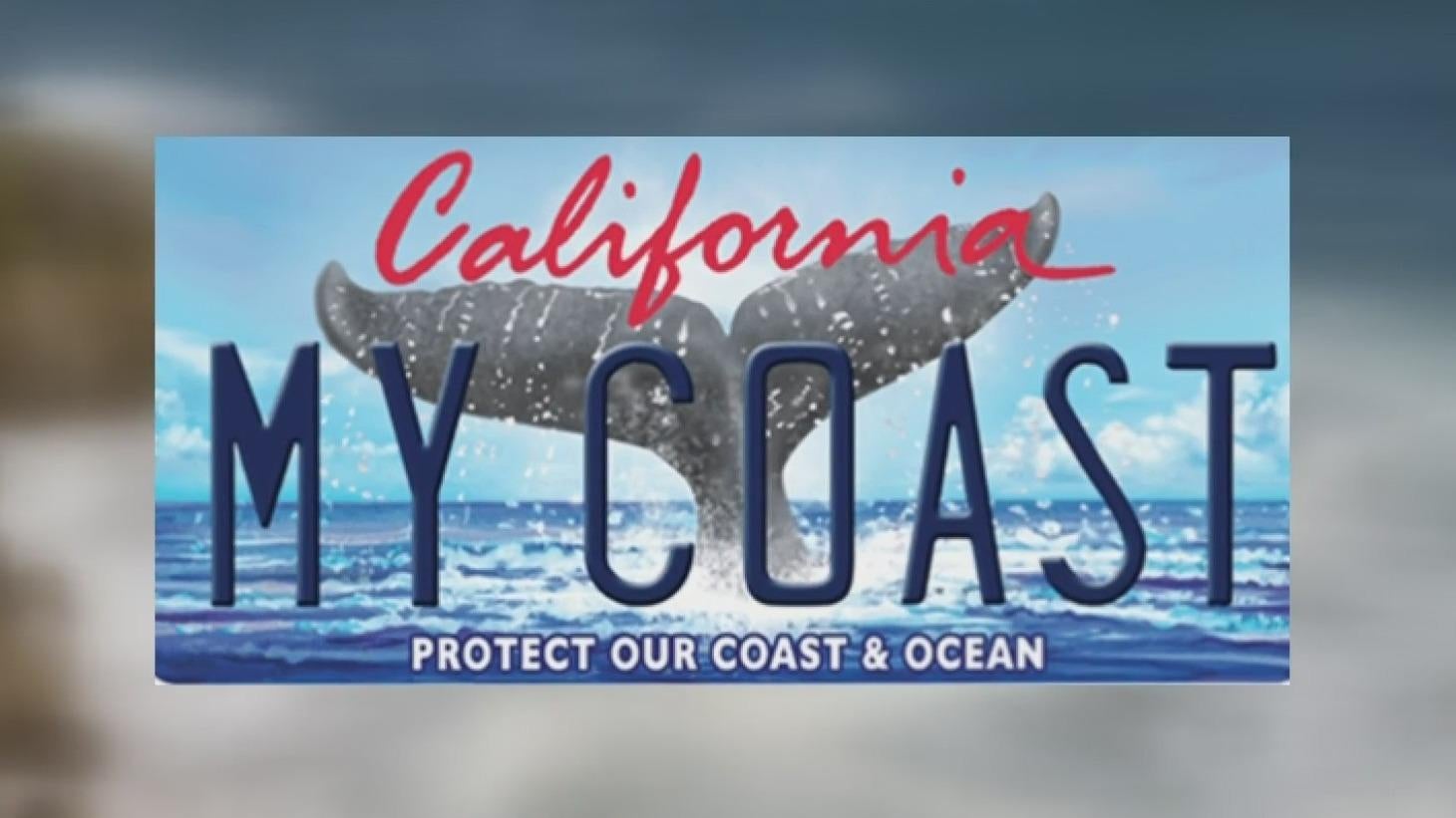 Here's what fees for California specialty license plates are used for ...