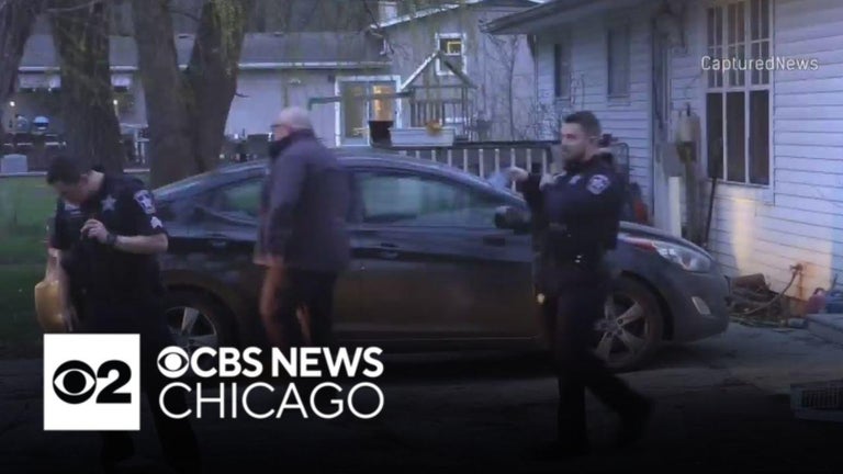 2 people go to hospital after dogs attack in northwest Chicago suburbs ...