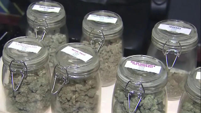 Feds bust another illegal grow house in Maine as authorities probe ...