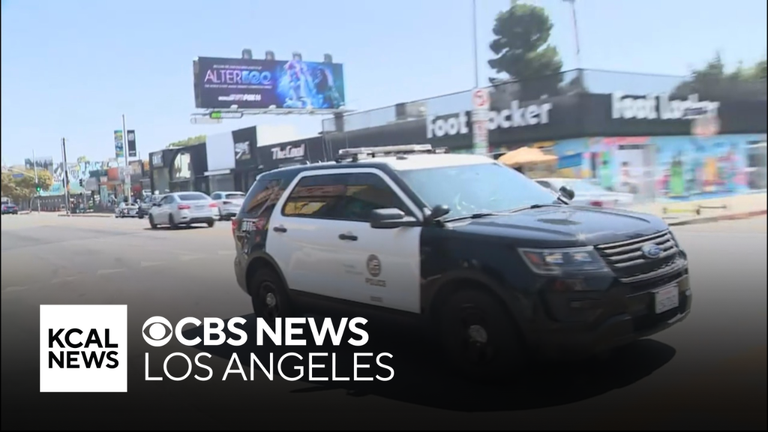 LAPD officer charged with evidence tampering and petty theft - CBS Los ...