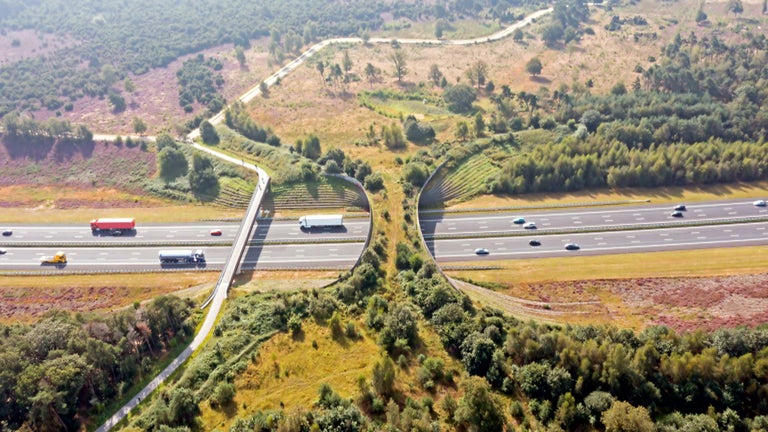 New bridge planned over Mass Pike for deer and hikers to share - CBS Boston