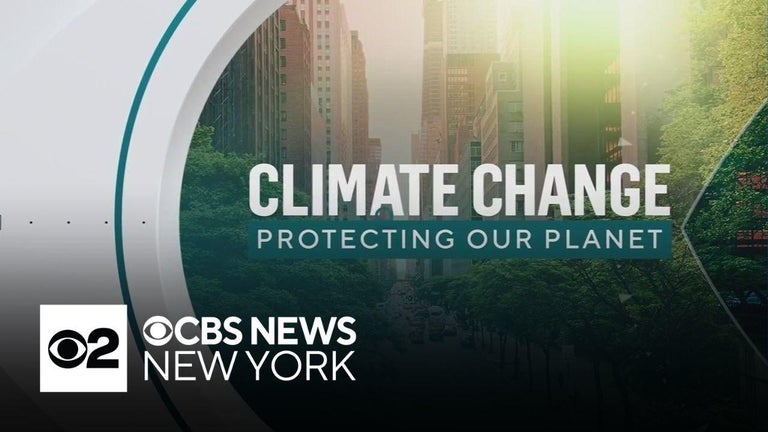 NYC looks to limit climate change's impact with flood resiliency ...