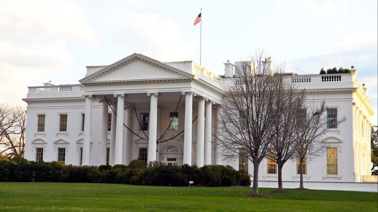 White House considers welcoming some Palestinians from war-torn Gaza as ...