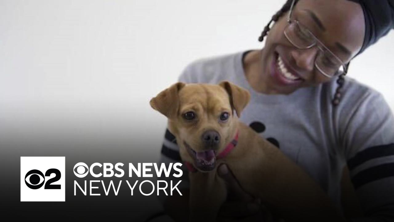 Uplift Families Residence, first ever pet-friendly homeless shelter in ...