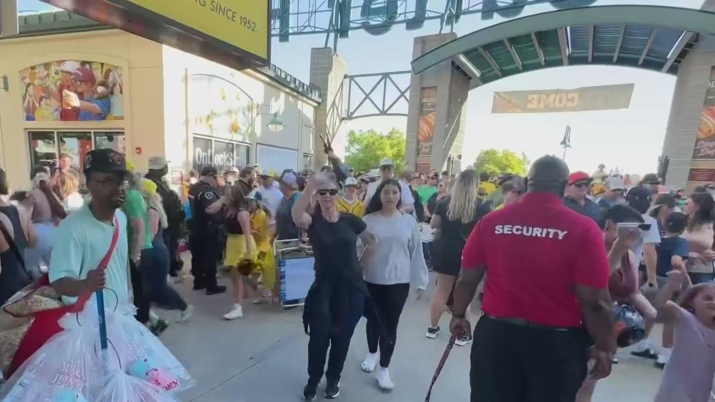 Sacramento fans go "bananas" for sold-out Savannah Bananas game at ...