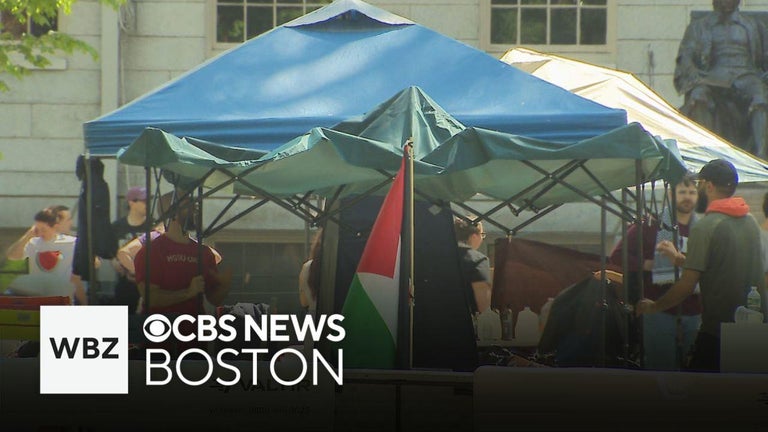 Harvard University encampment comes down, ending Boston-area campus ...