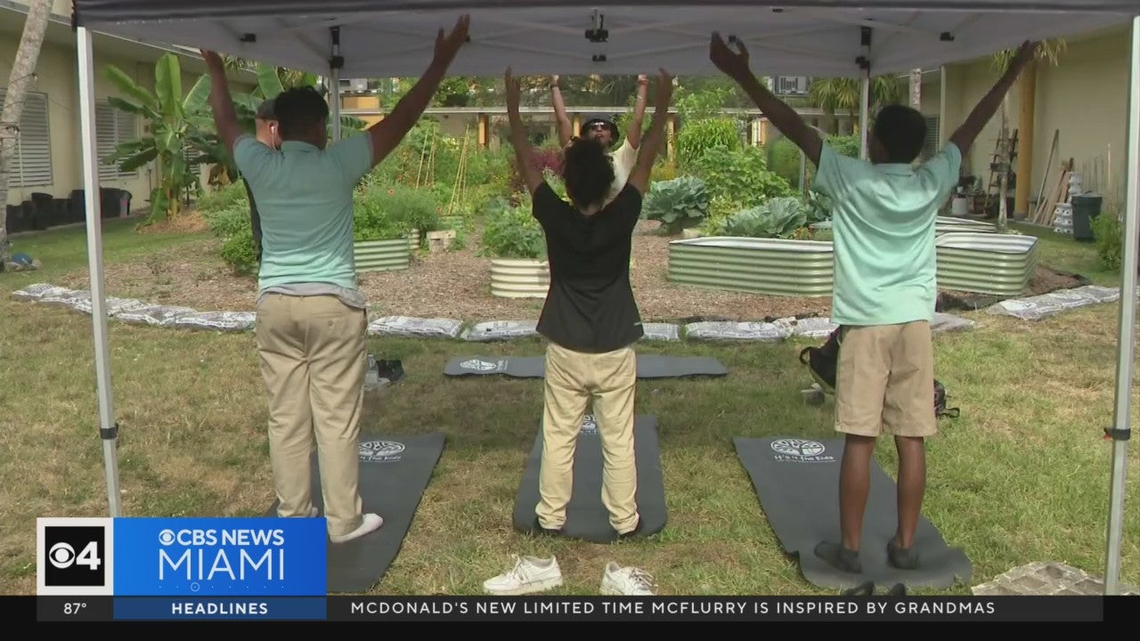 Seed School Miami receives $7,000 grant thanks to MTV's Mental Health ...