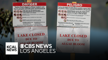 FDA issues warning about paralytic shellfish poisoning. Here's what to ...