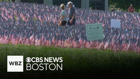 Sea of American flags on Boston Common honors fallen servicemembers on ...