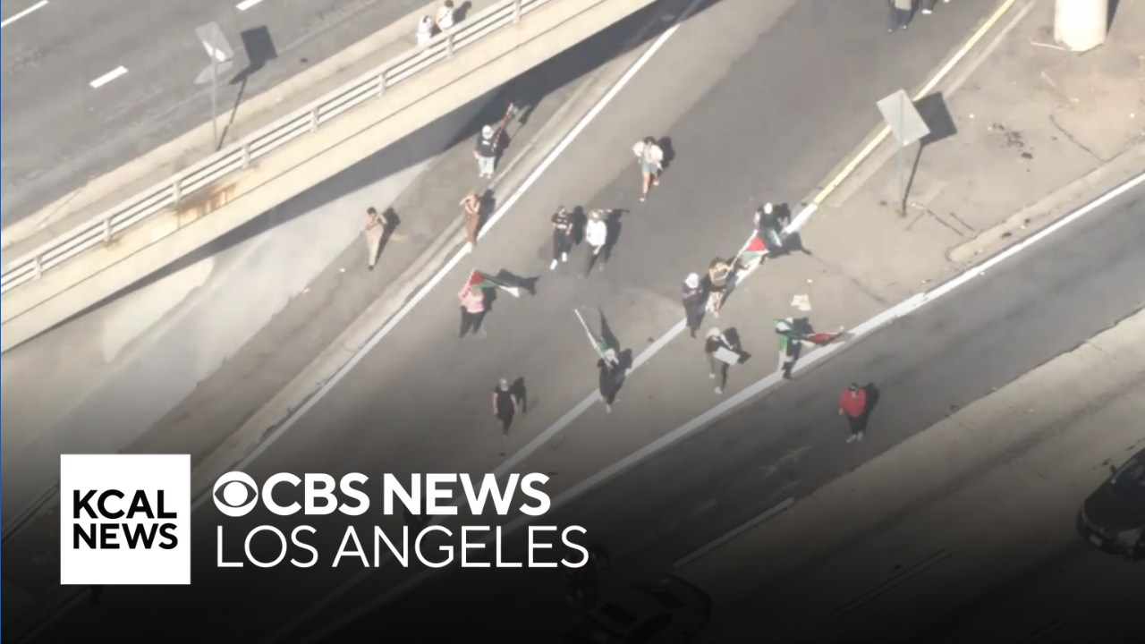 Pro-Palestinian protesters march onto 101 Freeway in Downtown Los ...