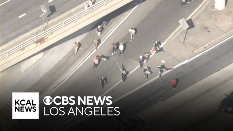 Pro-Palestinian protesters march onto 101 Freeway in Downtown Los ...