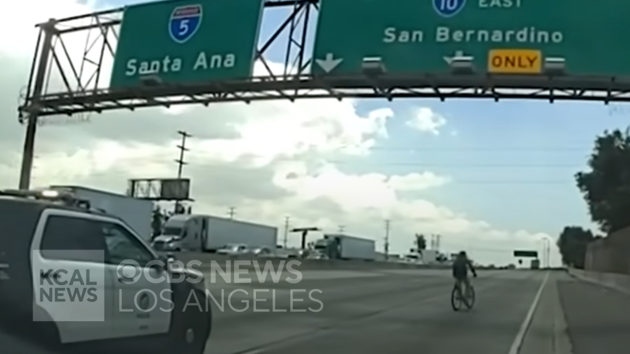 LAPD chase attempted murder suspect riding bicycle on freeway - CBS Los Angeles