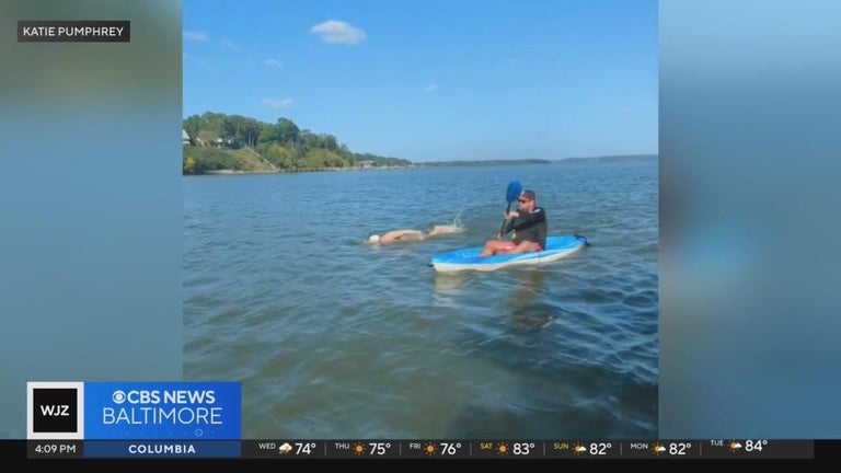 Maryland swimmer aims to tackle 24-mile swim from Chesapeake Bay Bridge ...