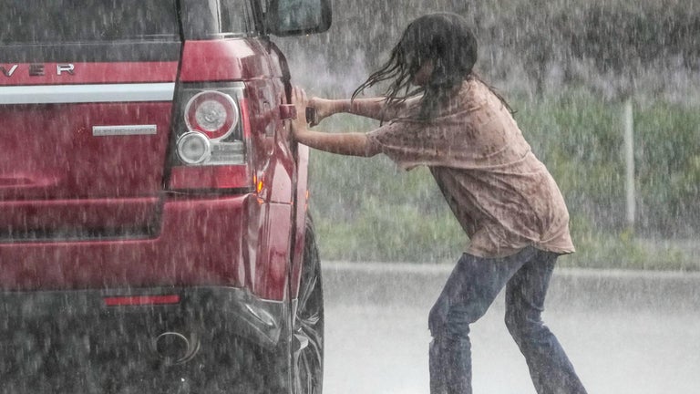 Downed power line shocks 6-year-old Texas boy and his grandmother ...