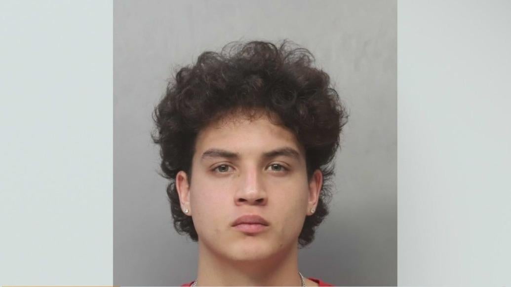 Miami man filmed punching dog in the face has been arrested on animal ...