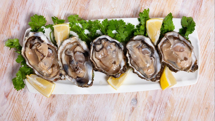 Century-old shipwreck in North Sea is filled with stash of rare oysters ...