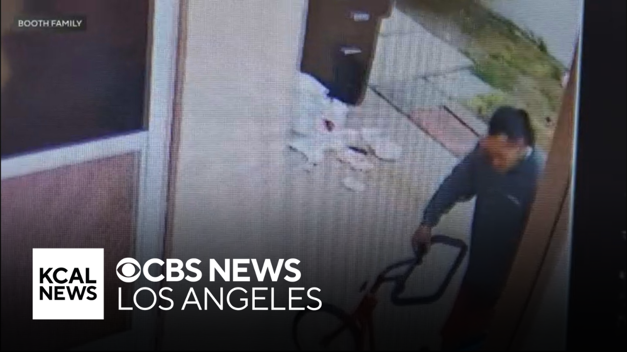 Thief allegedly steals tricycle from child with rare neurological ...