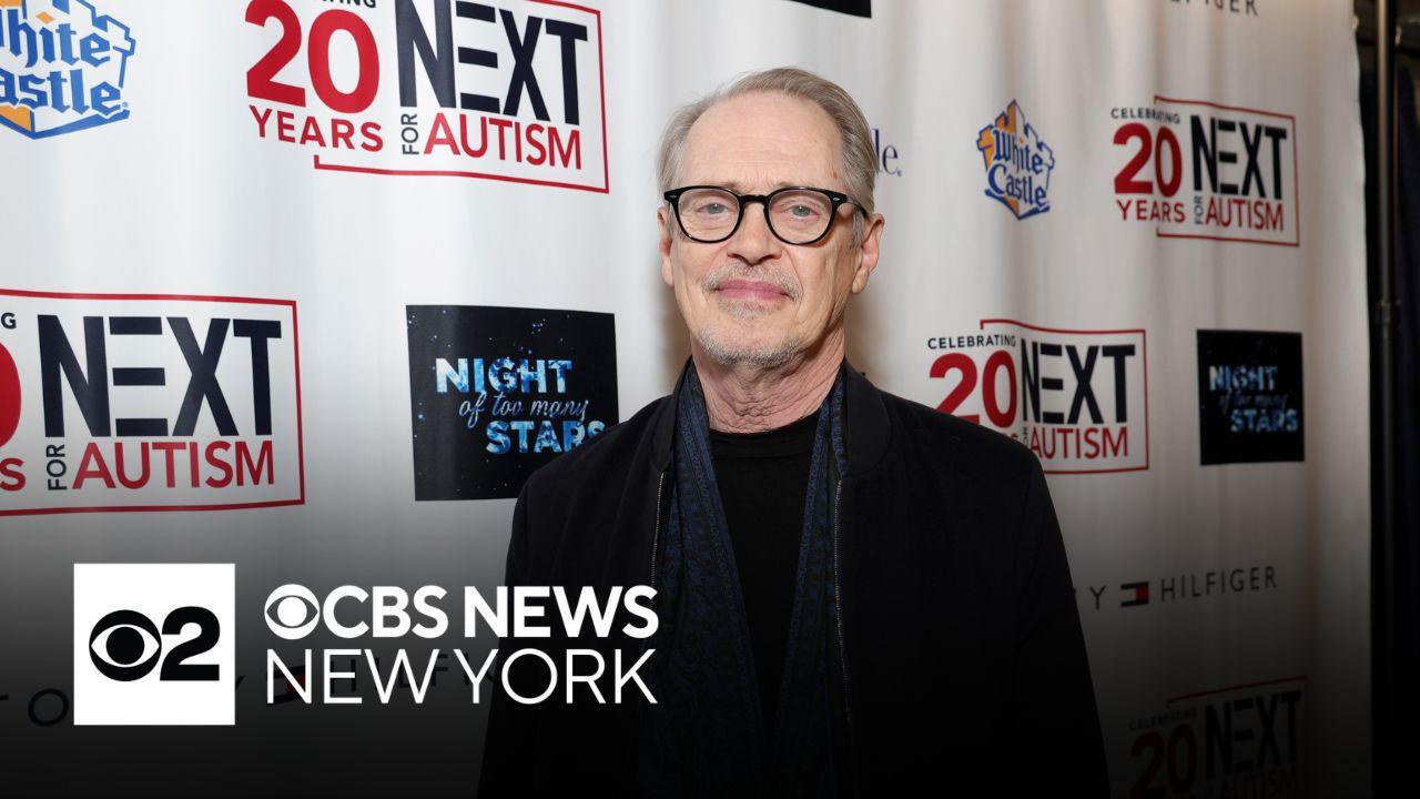 Steve Buscemi punch suspect now faces a felony charge. Here's why ...