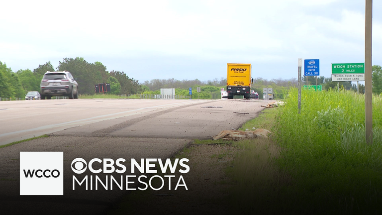 Who is responsible for cleaning up roadkill and how do they dispose of ...