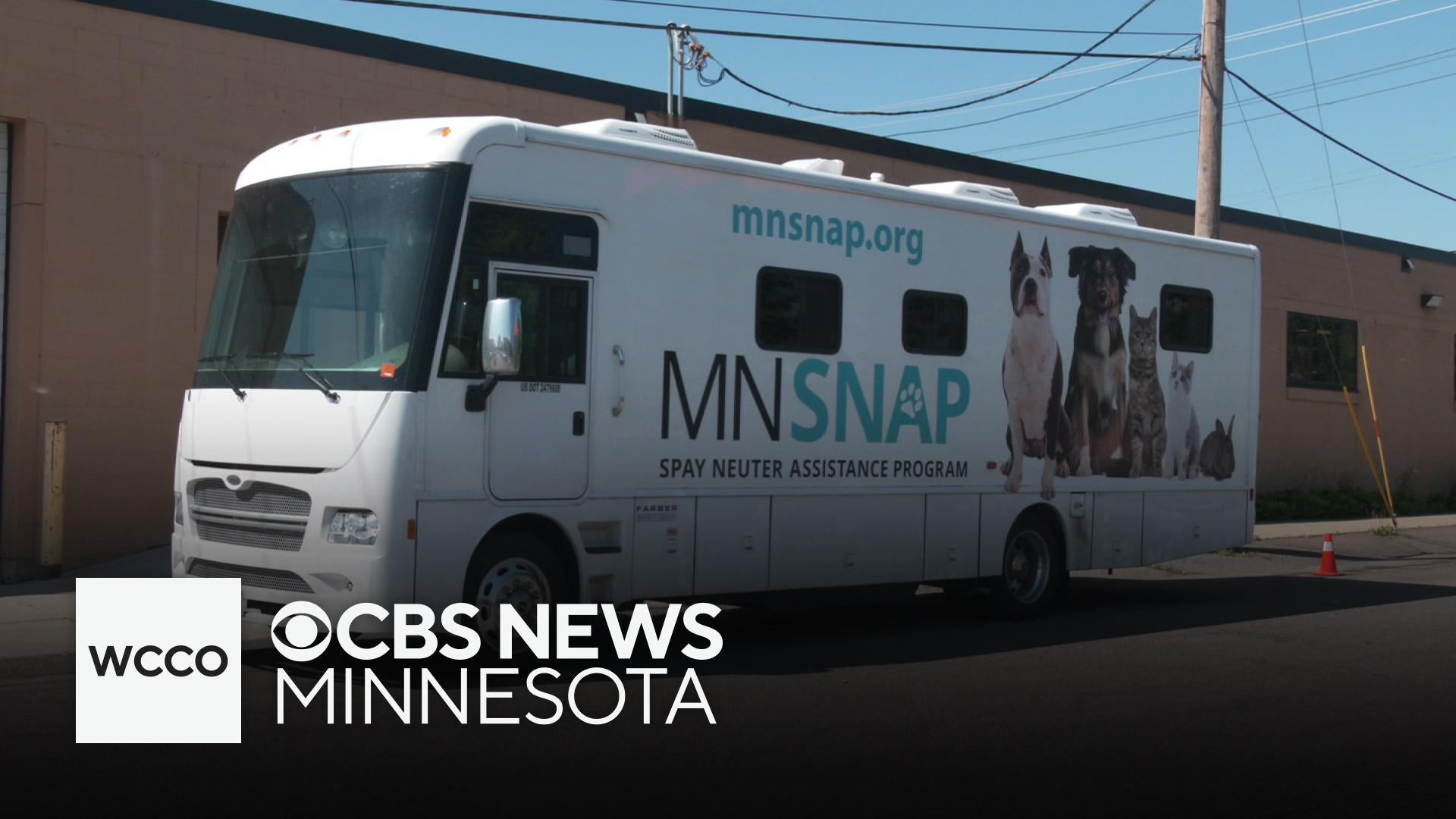 Nonprofit provides spay and neuter resources for rural Minnesotans ...