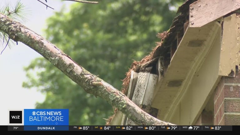 Isolated damage from Wednesday's storm, tornadoes hits Columbia ...