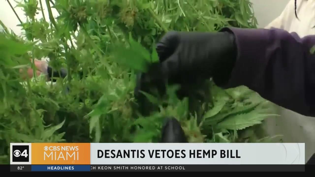 Gov. Ron DeSantis vetoes bill to restrict sales of hemp products in ...