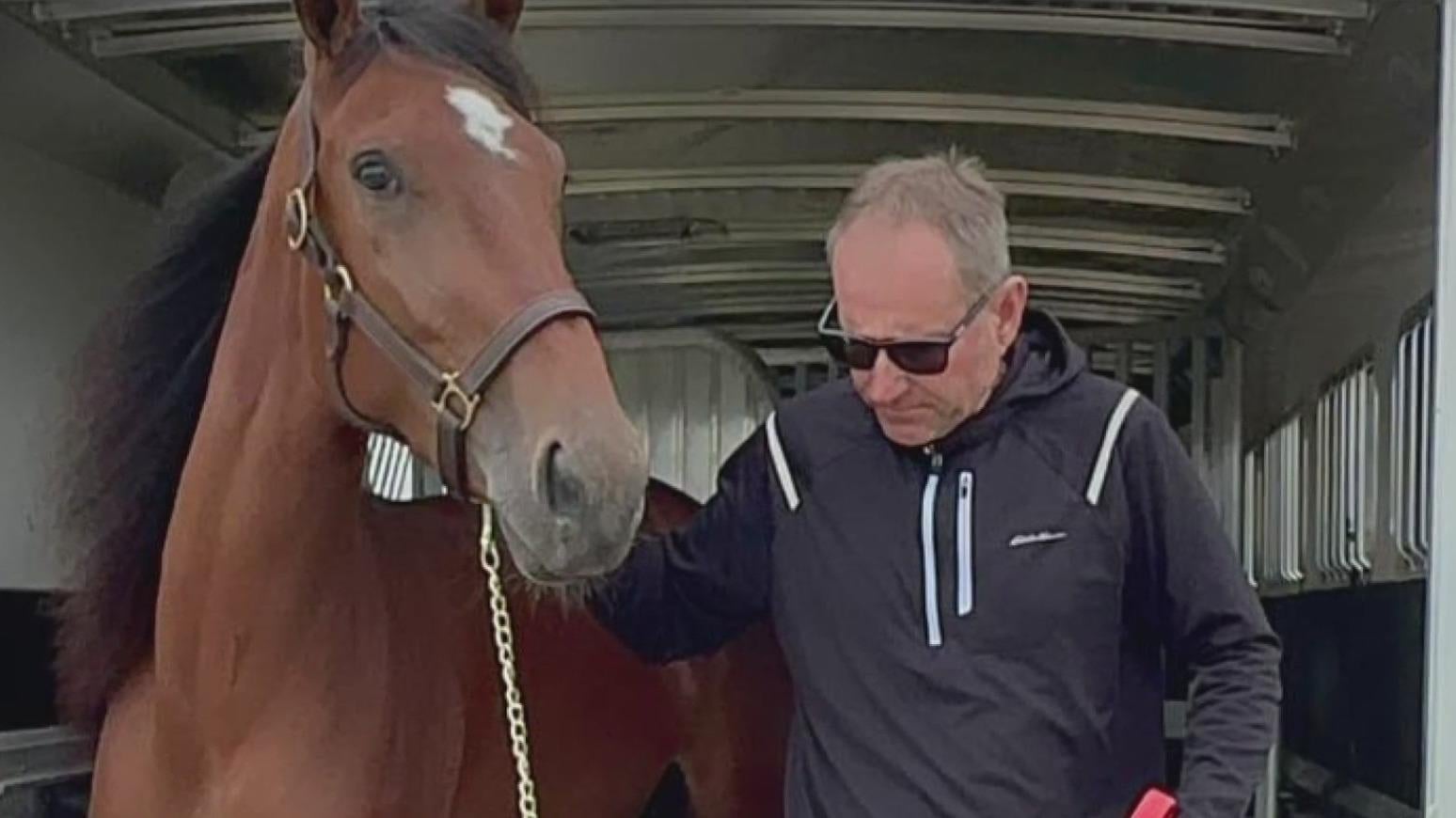 Driver hospitalized after crash during horse race at Hollywood Casino ...