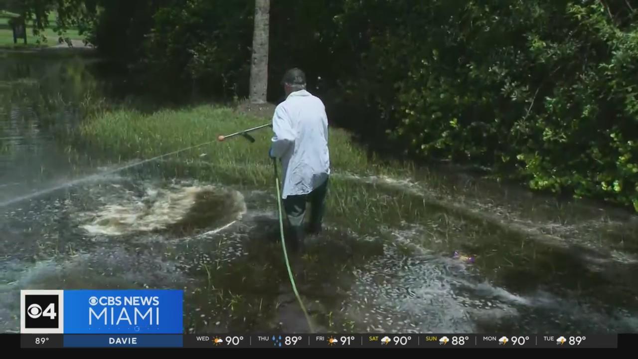 Broward Mosquito Control out in force to curb mosquito populations post ...