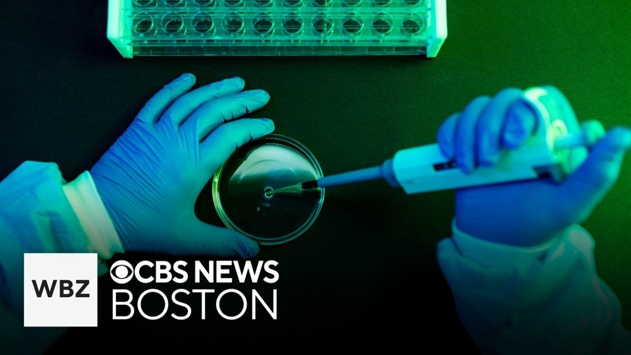 Study shows new treatment for lymphoma doesn't require chemo - CBS Boston